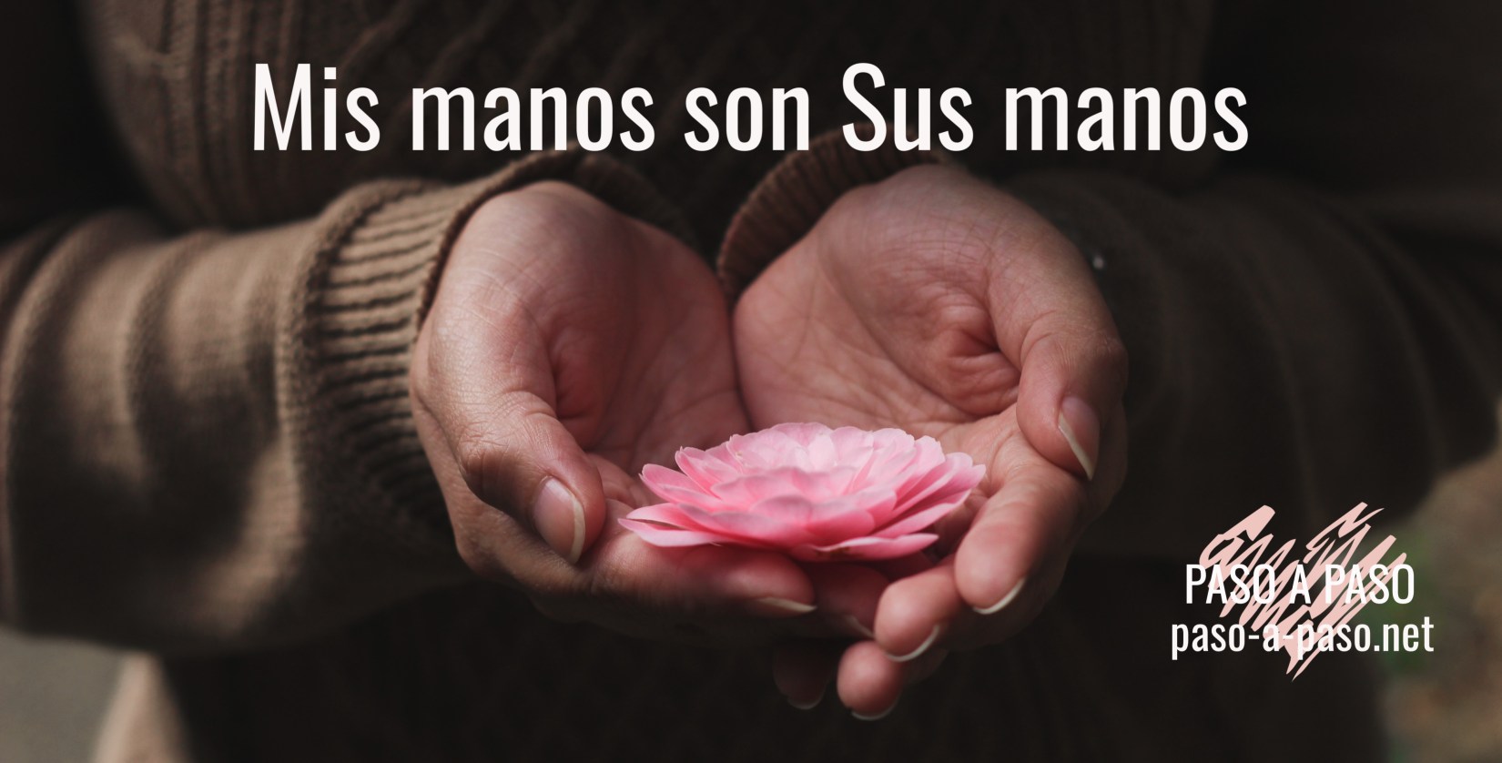 Paso a paso