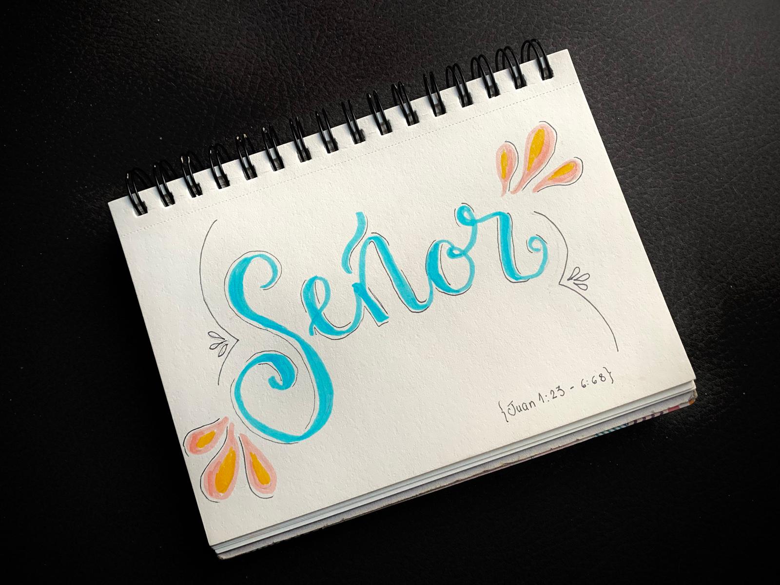 Lettering de Cuarentena – algunas de las palabras